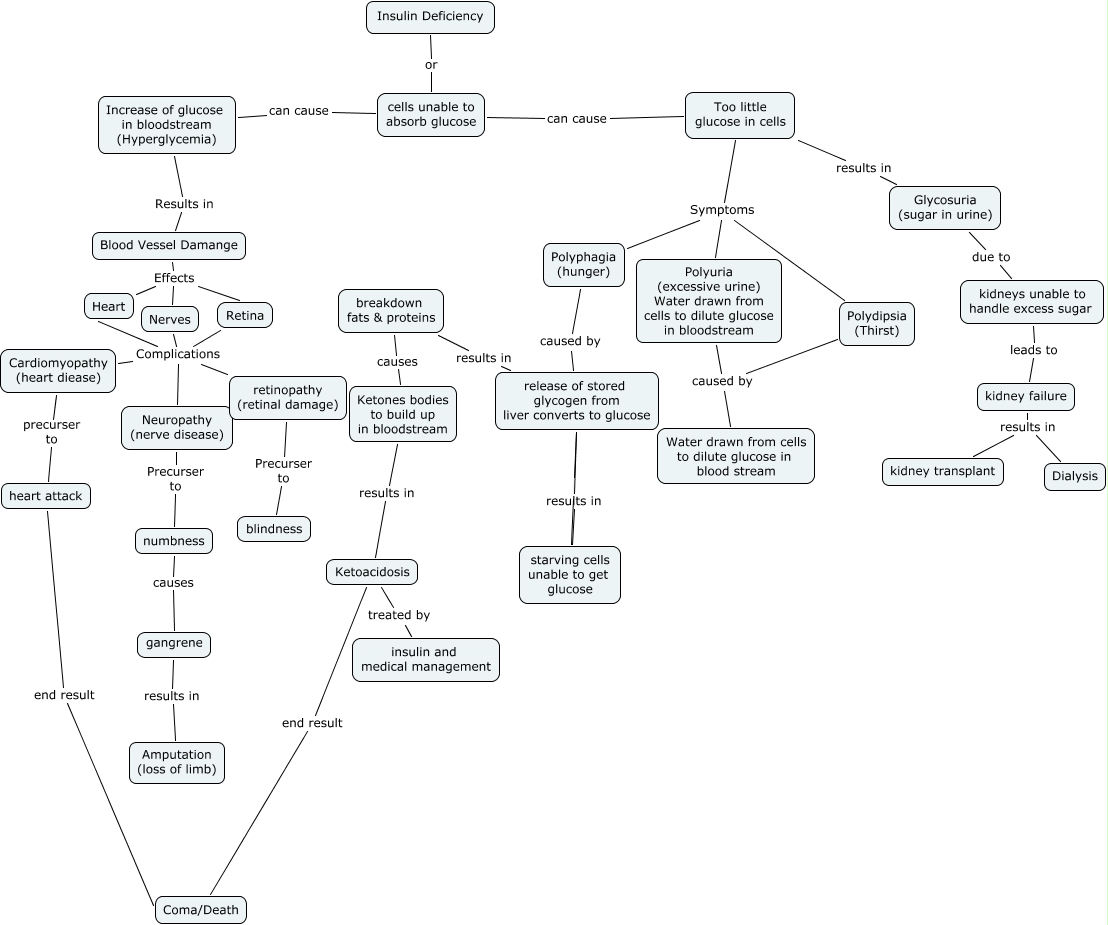 Insulin Deficiency FINAL CMAP - What happens during hyperglycemia